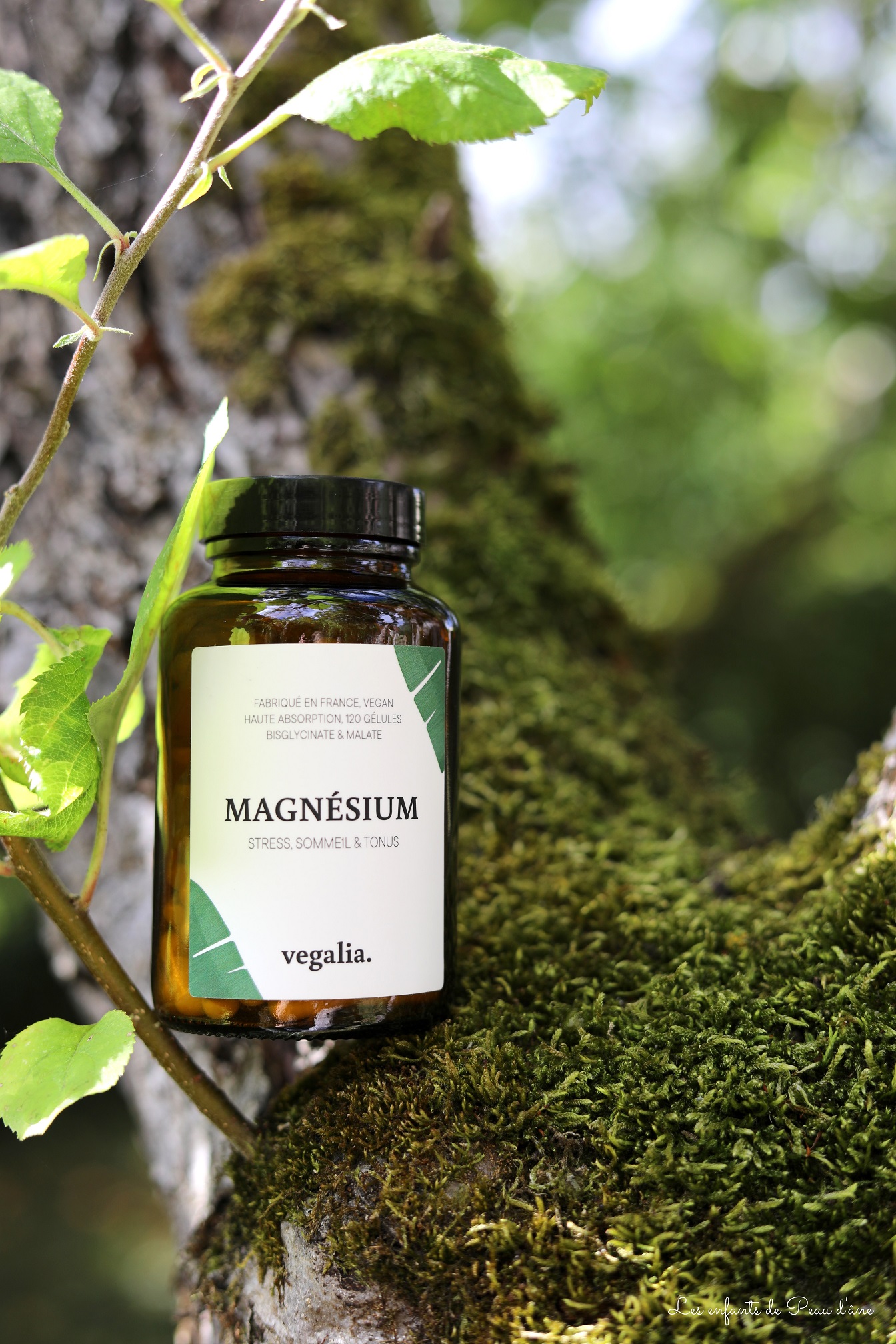 Avec Vegalia, tout va ! - Les enfants de Peau d'âne